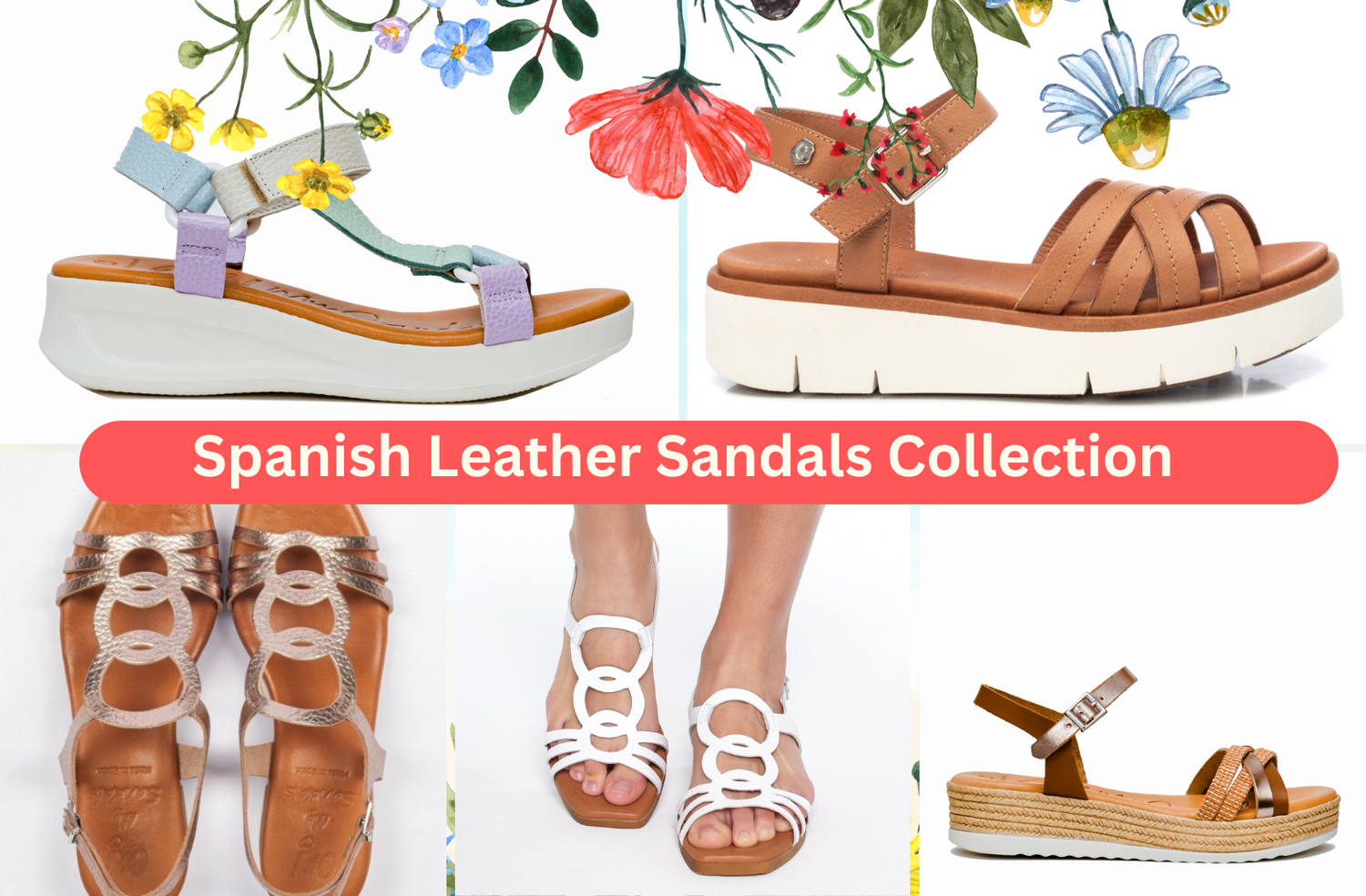 Sam Star Shoes – Sam Star Shoes